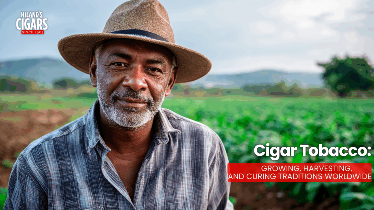 Connecticut Excellence: 10 Cigars That Showcase the Wrapper's Subtle Charm