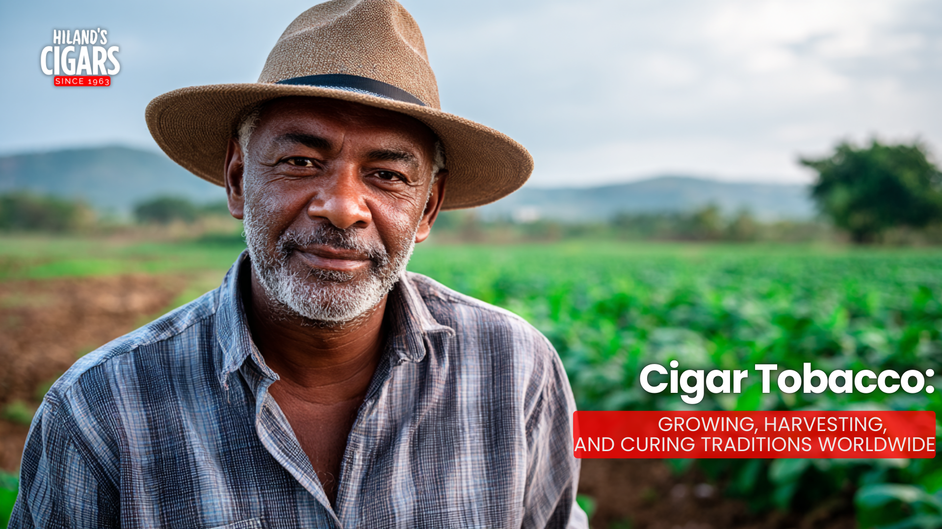 Cigar Vitolas Explained: Shapes, Sizes & Smoking Experience - Hiland's ...